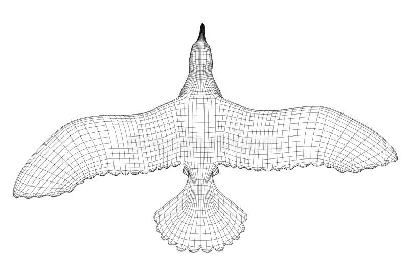 Flying Bird Wireframe Isolated on White Background. View from Above. 3D ...