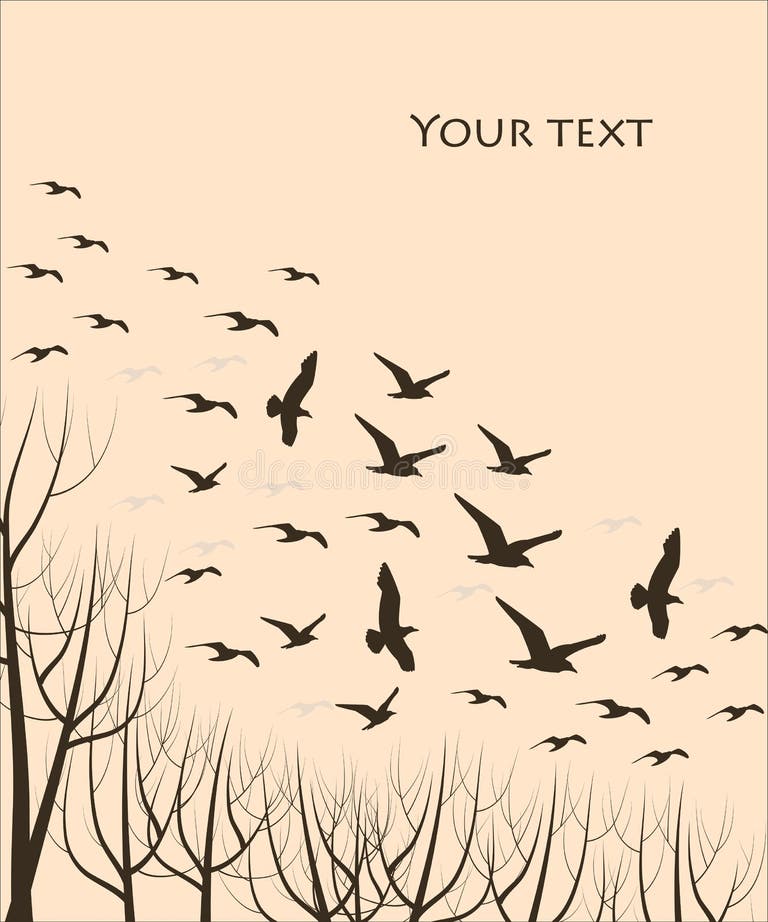 Birds Flock Flying Color Vector Stock Illustrations – 934 Birds Flock ...