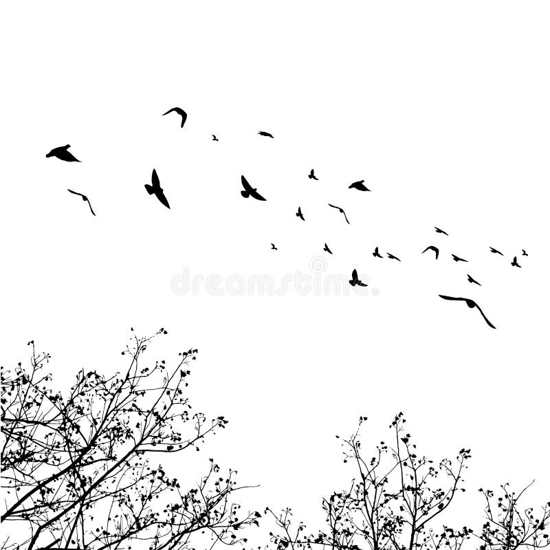 Flock Flying Birds Tree Branch Tree Stock Illustrations – 1,013 Flock ...