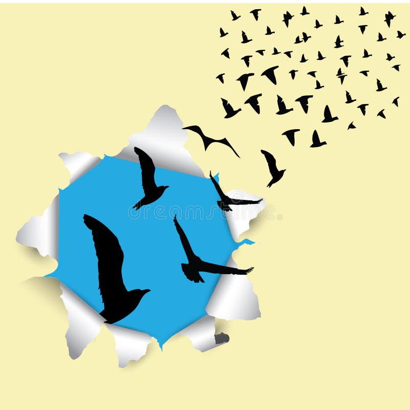 Flying Birds Outside the Box Vector Illustration Stock Vector ...