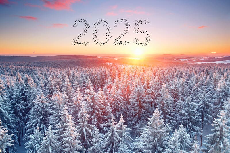 Flying Birds in Shape of 2025 Over a Frozen Snow Covered Forest Stock ...