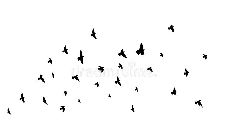 Flying Birds Silhouette Flock. Hand Drawing. Not AI Stock Vector ...