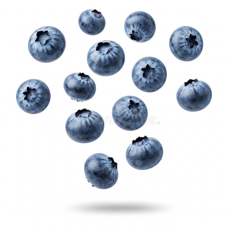 Flying Blueberries on White Background Stock Illustration ...