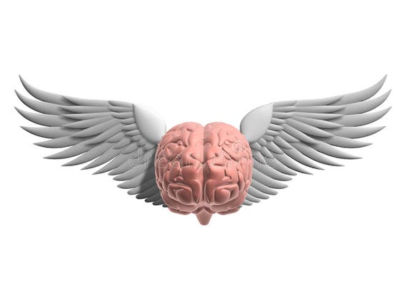 Flying brain stock illustration. Illustration of clipart - 1777294
