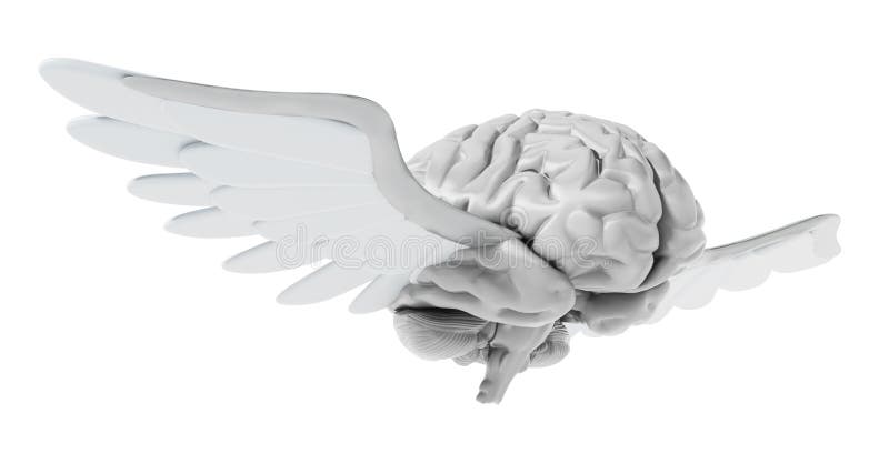 Flying brain stock illustration. Illustration of clip - 1777298