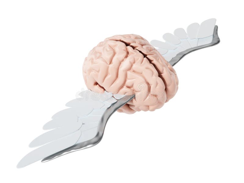 Flying brain stock illustration. Illustration of clip - 1777298