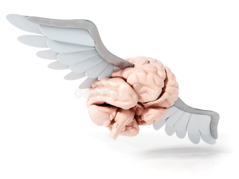 Flying brain stock illustration. Illustration of clip - 1777298