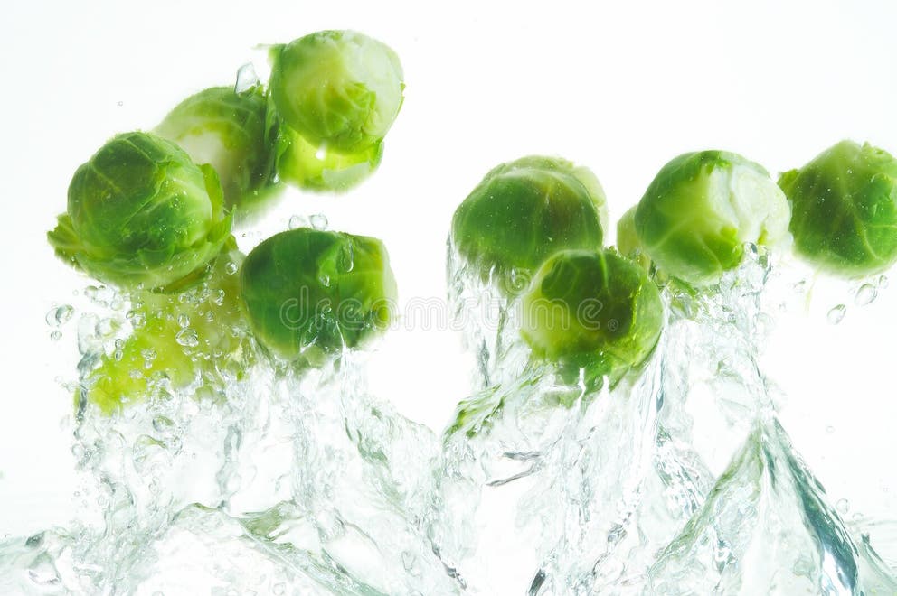 Flying Brussels sprouts stock photo. Image of organic - 3507772