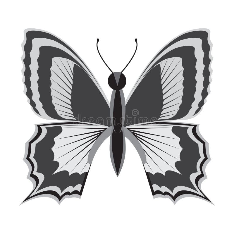 Flying butterfly icon stock vector. Illustration of animal - 127920705