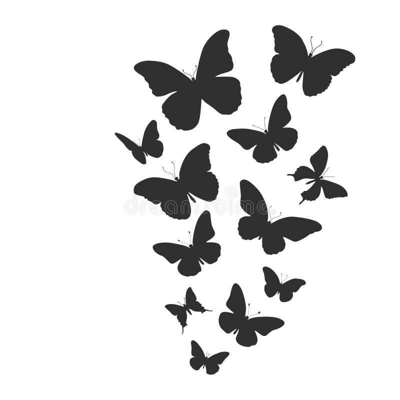 Silhouettes of Butterflies. Black Outline Butterflies. Insect Butterfly ...