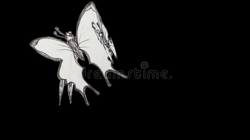 Cartoon Butterfly Animation Loop Stock Video - Video of design, bird ...