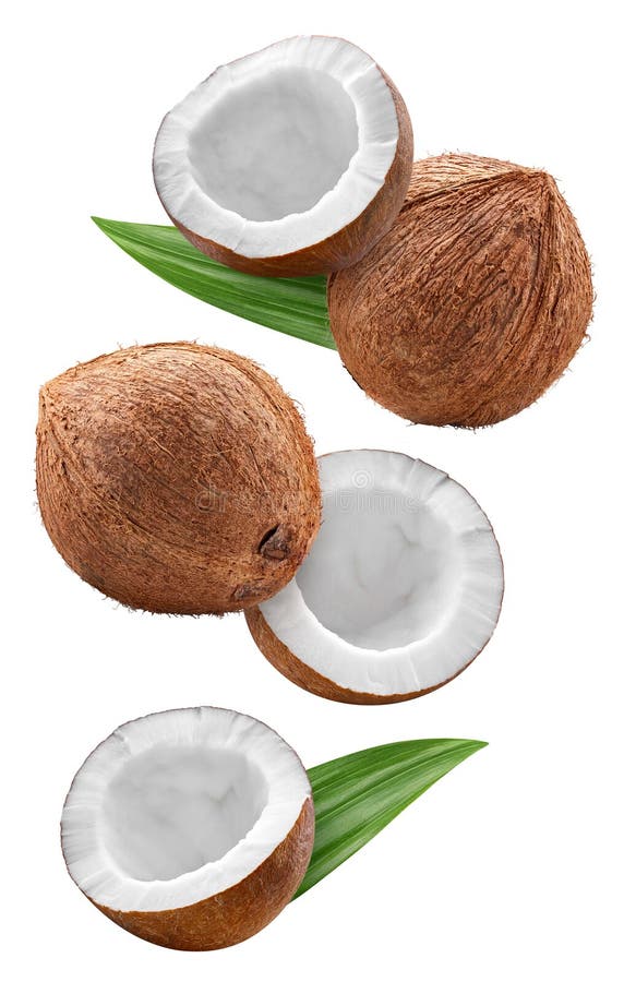 Flying Coconut and Green Leaves Stock Image - Image of fruit, leaves ...