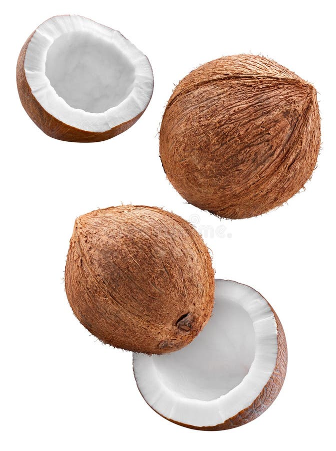 Flying Coconut Isolated. Coconut on White Stock Photo - Image of ...