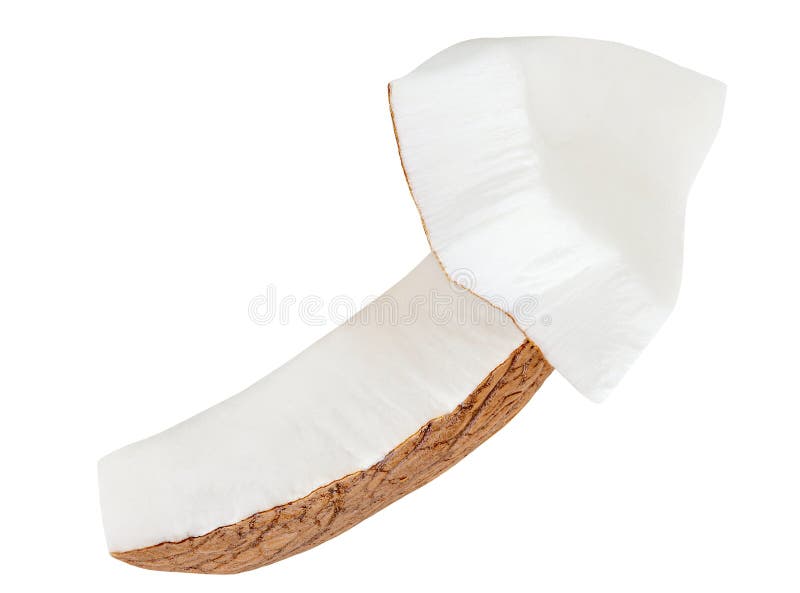 Flying Coconut Pieces Isolated on White. Falling Tropical Coconut Fruit ...