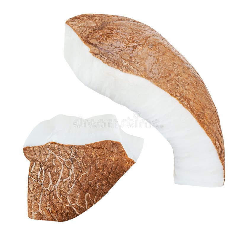 Flying Coconut Pieces Isolated on White. Falling Tropical Coconut Fruit ...