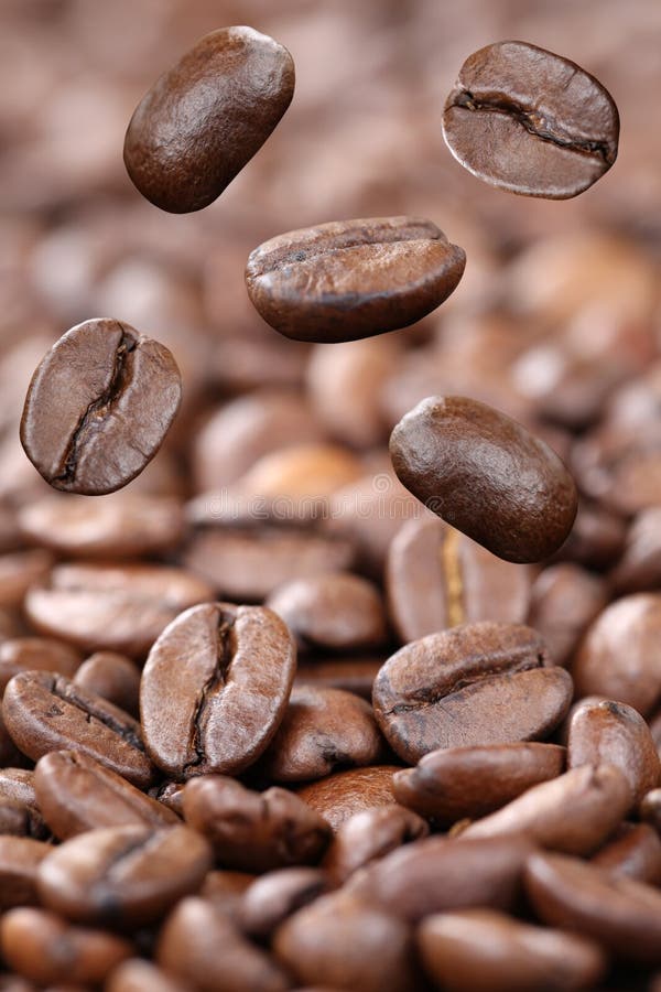 Flying coffee beans stock photo. Image of flying, beans - 64433198