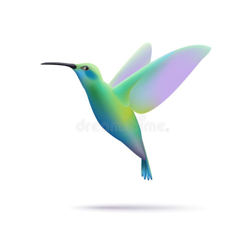 Flying Colibri 3d Illustration, Soft Gradient Shape, Isolated Stock ...