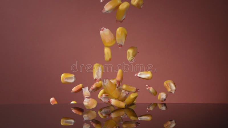Flying Corn Grains on a Color Background. Super Slow-motion. Stock ...