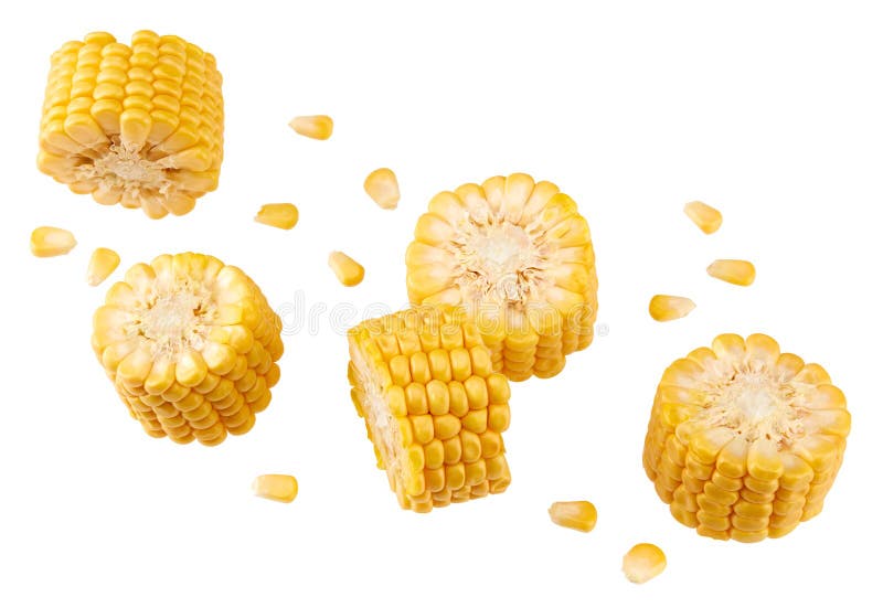 Flying Corn with Seeds Isolated on White Background. Clipping Path ...