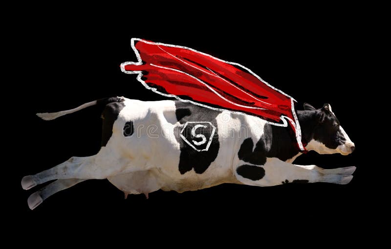 2,410 Flying Cow Stock Photos - Free & Royalty-Free Stock Photos from ...