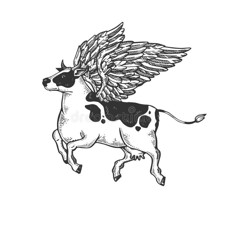 3+ Cow flying funny Free Stock Photos - StockFreeImages