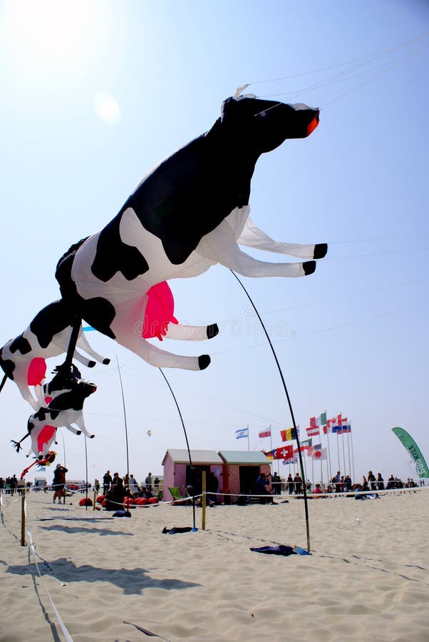 Flying cows editorial photography. Image of festival - 19720997