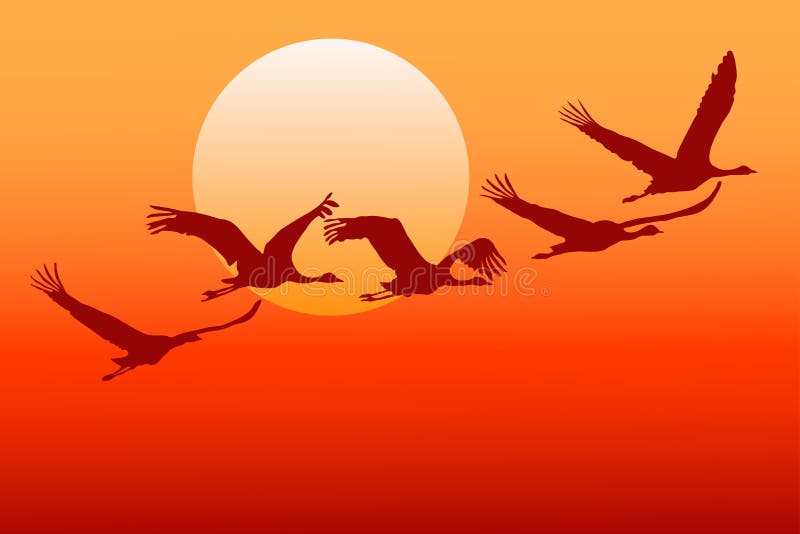 Flying crane. stock vector. Illustration of bead, migration - 55857582
