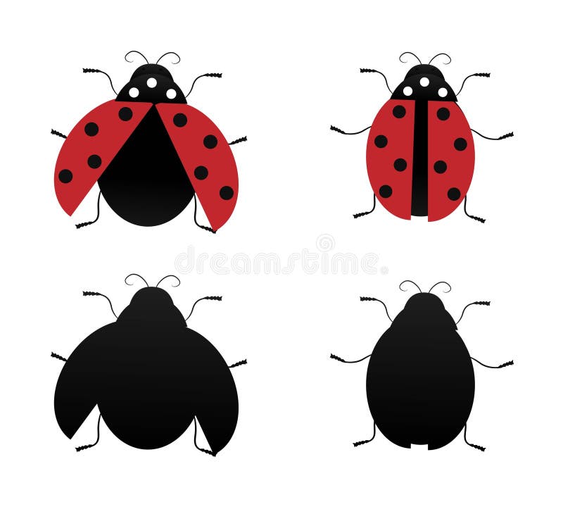 Flying and Crawling Ladybug Flat Style Isolated on White Stock Vector ...