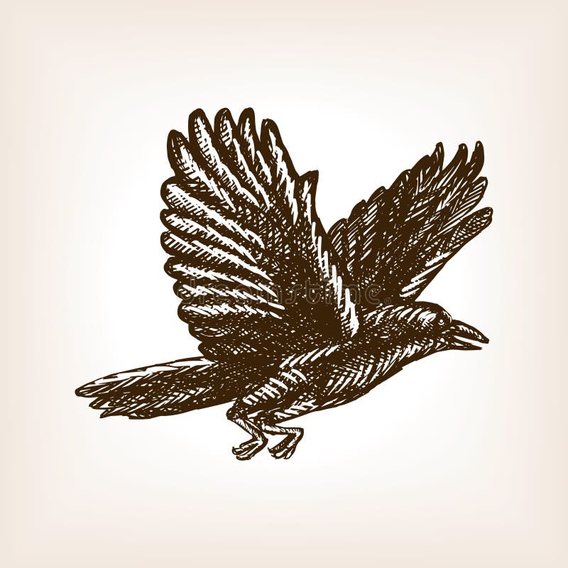 Crow Bird Learn To Draw Vector Stock Vector - Illustration of learn ...