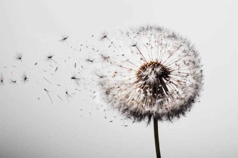 Flying Dandelion Macro Generative AI Stock Illustration - Illustration ...