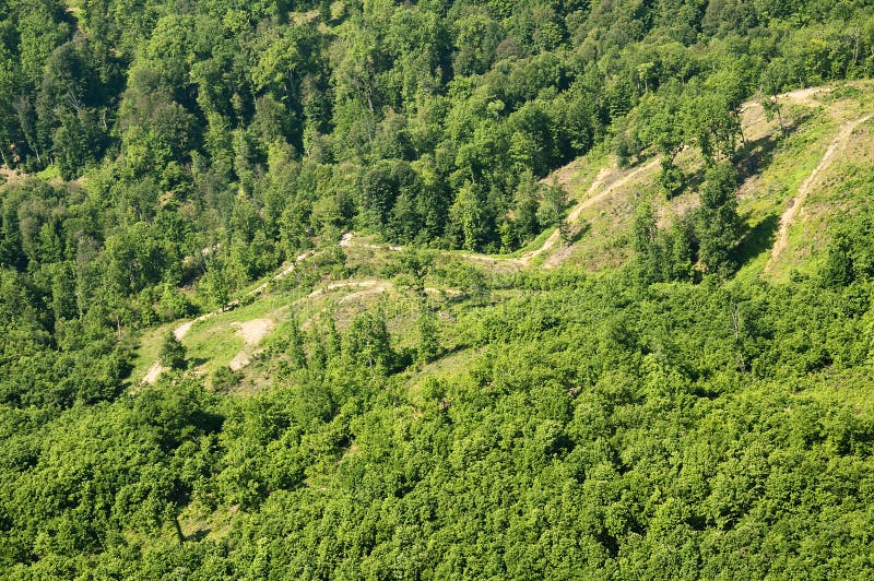 Flying with deltaplan stock photo. Image of cloud, gliding - 9426204
