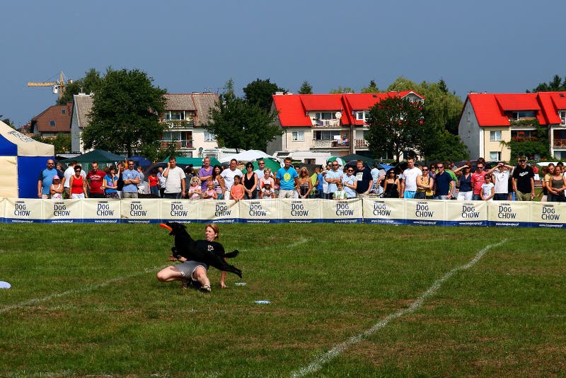 Flying Dog editorial photography. Image of running, trained - 15607767