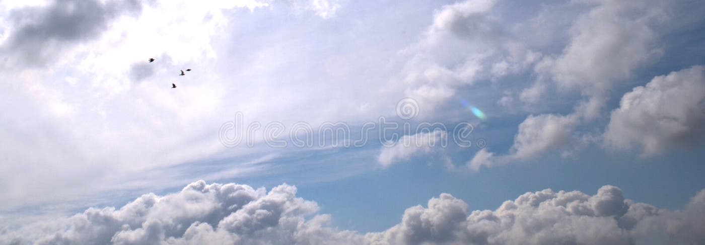 786 Dove Over Water Stock Photos - Free & Royalty-Free Stock Photos ...