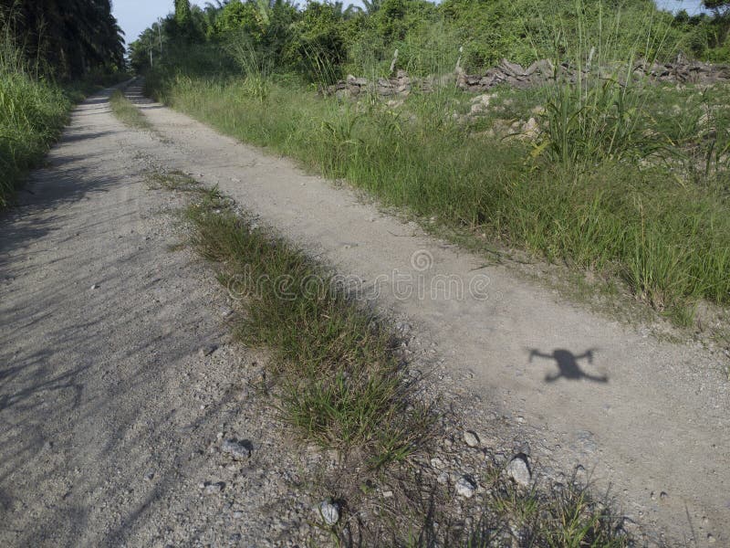 Flying Drone Cast it S Shadow on the Dirt Pathway. Stock Image - Image ...