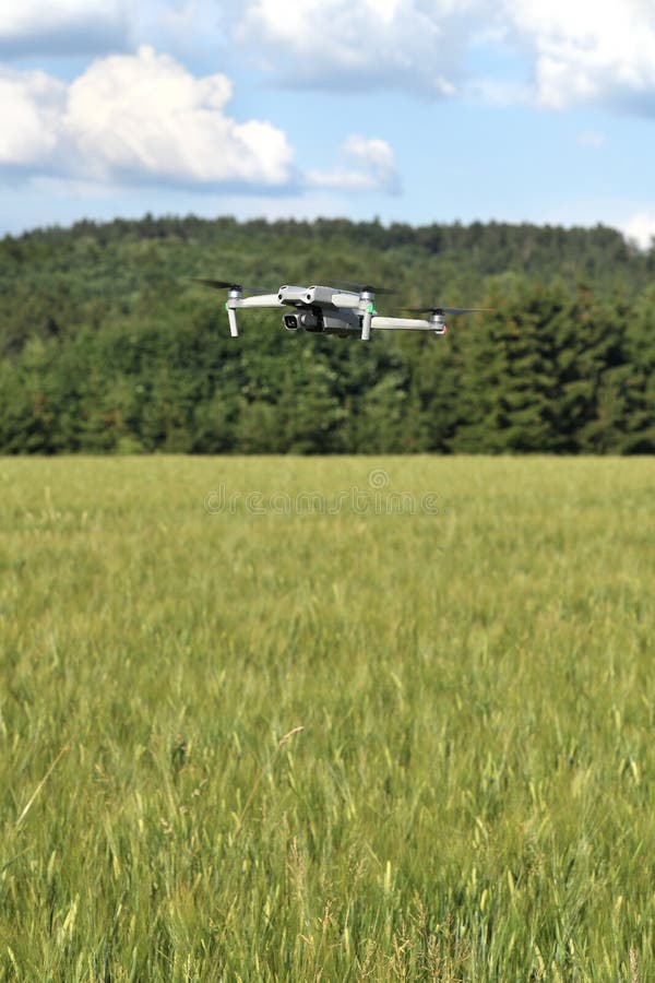 Side View of a Flying Modern UAV Drone on Yellow Corn Field a Blue Sky ...