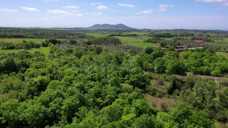 Flying with the Drone on a Green Prairie with Trees and Olive Trees ...