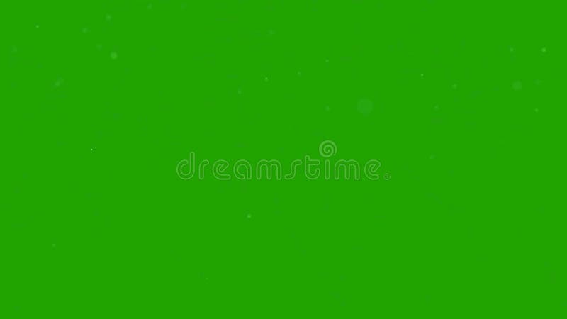 Real Dust Particles Floating in the Air. Dust Particles Green Screen ...