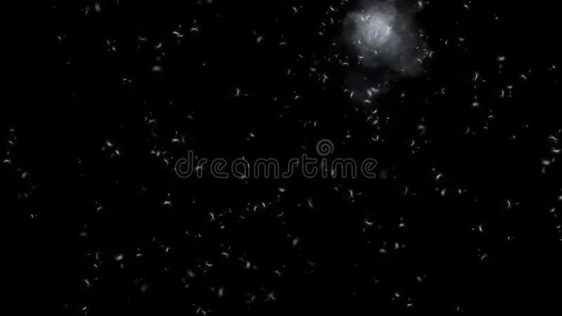Flying Dust Particles Motion Graphics with Night Background Stock Video ...
