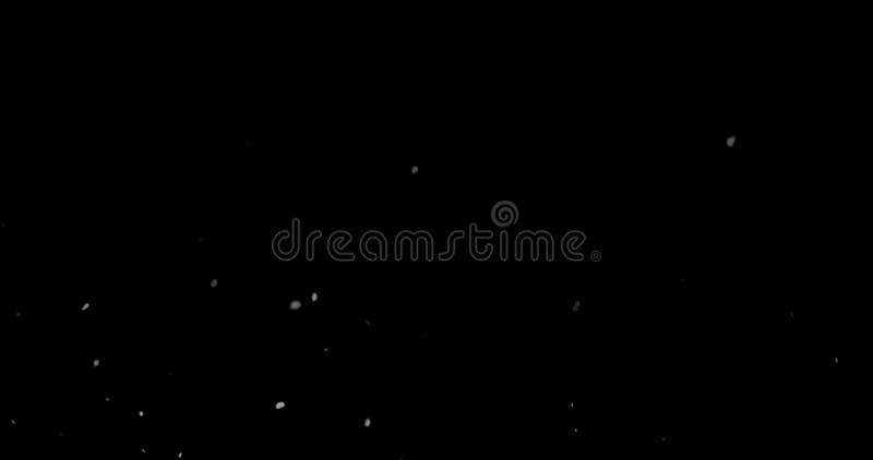 Flying Dust Particles on Green Screen Background Stock Video - Video of ...