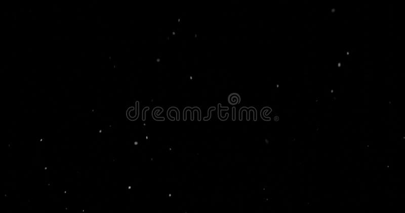 Flying Dust Particles on Green Screen Background Stock Video - Video of ...