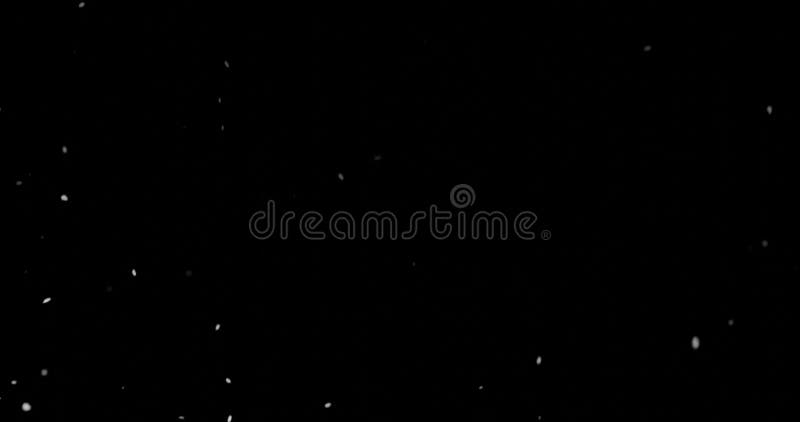Flying Dust Particles for Video Overlay Background Effect Stock Video ...