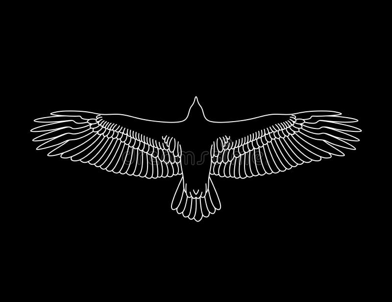 Flying Eagle Stencil. Bird Drawing on Black Background. Stock Vector ...
