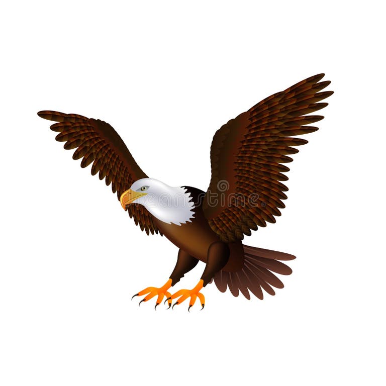 Realistic Eagle Stock Illustrations – 2,750 Realistic Eagle Stock ...