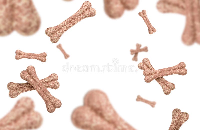Flying and Falling Protein Bones for Dog, Rawhide Bone, Dog Biscuit ...