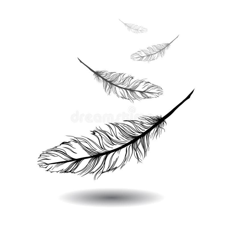 Flying Feathers with White Background. EPS 10 Stock Vector ...