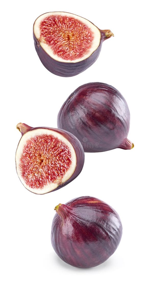 Flying Fig Fruit Isolated on White Background. Full Depth of Field ...