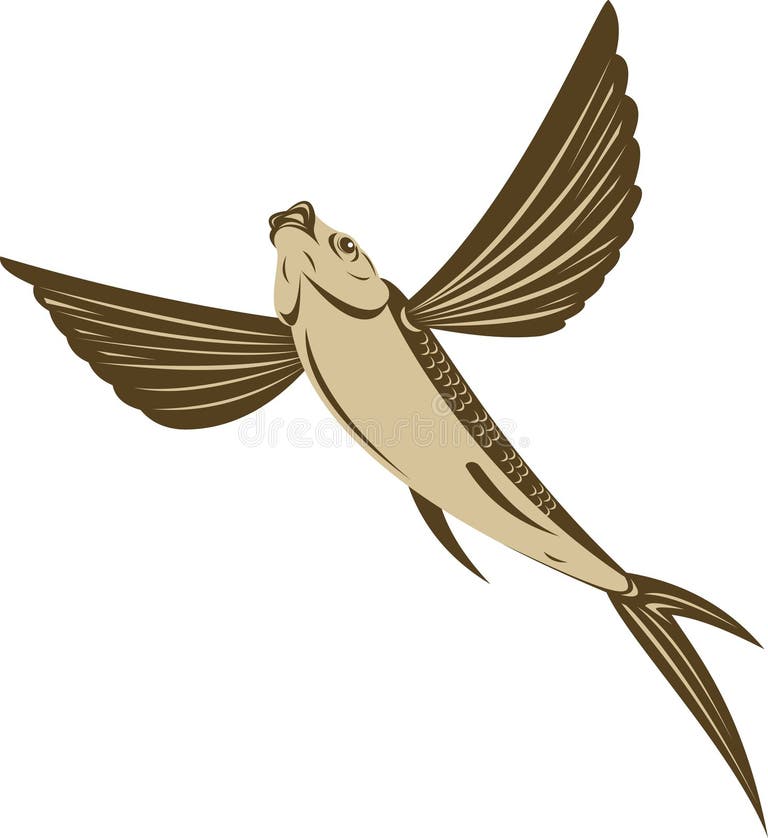 Flying Fish Illustration Stock Illustrations – 7,752 Flying Fish ...