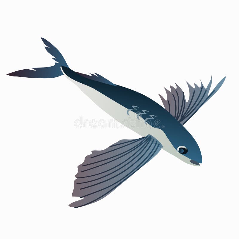 Flying Fish in Cartoon Style on White Background Stock Vector ...