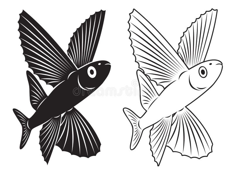 Flying fish stock vector. Illustration of isolated, rolls - 30569639