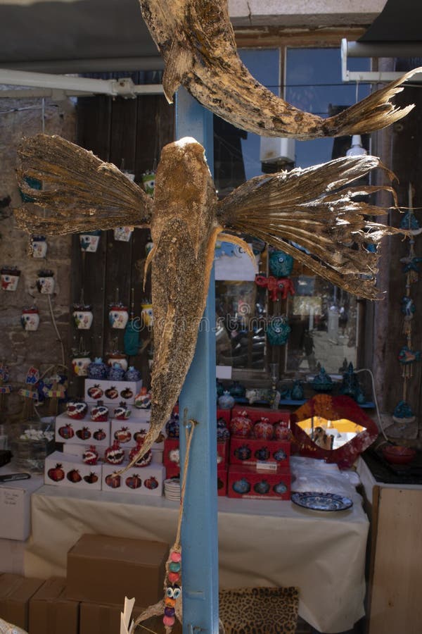 122 Dried Flying Fish Stock Photos - Free & Royalty-Free Stock Photos ...